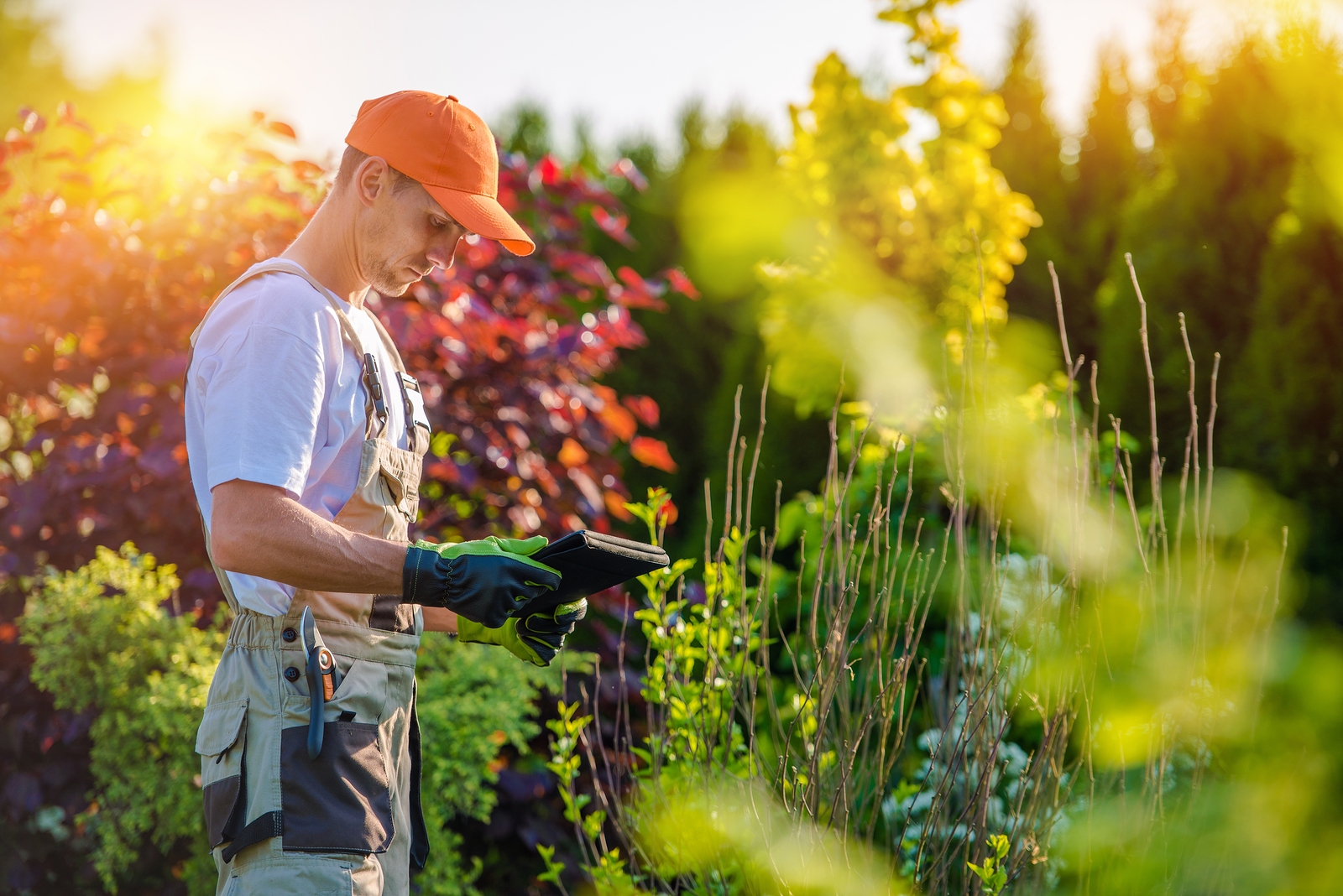 How to Maintain Landscaping to Protect Your Investment