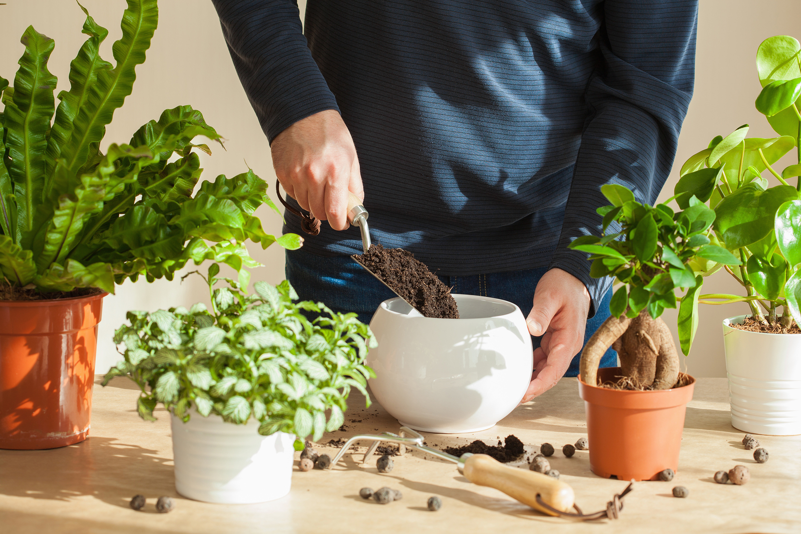 How to Make Great Container Plantings - Meadowbrook Design