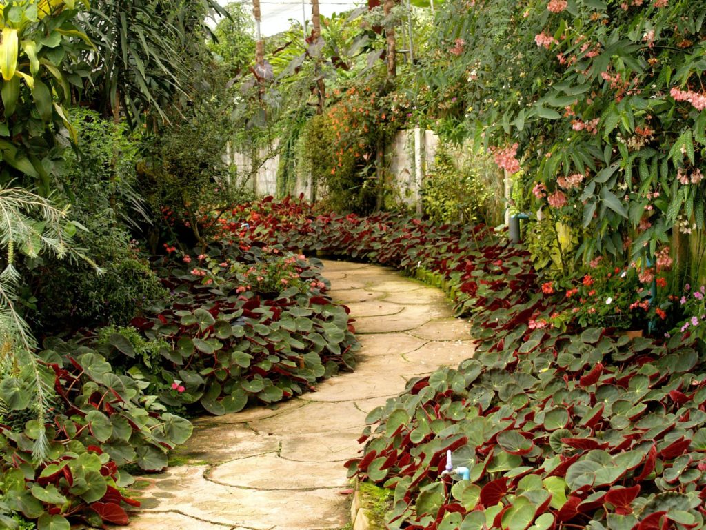 Perfect Landscape Design Ideas | Landscape Tips and Guides